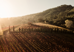 Fundamentals of Wine Package- Fall 2020 - House Of Wine